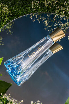 Buy Fragrances Indian Ethnic wear Fragrances for Women at Biba India
